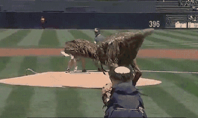 Godzilla GIF - Find on GIFER