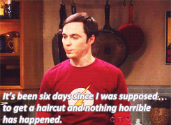 Sheldon Yes To All Gif