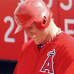 2014 sports baseball GIF - Find on GIFER