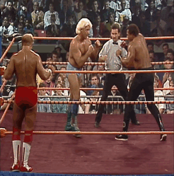Doom wcw ric flair GIF - Find on GIFER