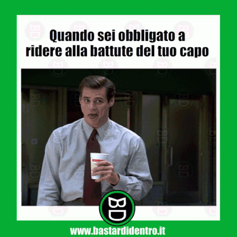 Como Um Gif Animado De Chefe GIFs De Funny Chef | Tenor