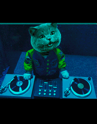 Nipclub rock junio GIF - Encontrar en GIFER