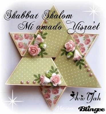 GIF shalom shabbat picture - animated GIF on GIFER
