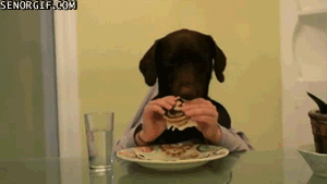 Dogman dog human dog GIF - Find on GIFER