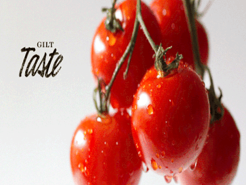 GIF talented - animated GIF on GIFER