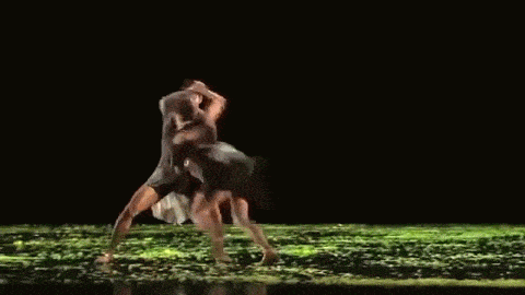 Гифка сан франциско джайентс гиф картинка, скачать gif на GIFER