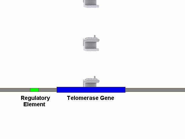 Matches GIF - Find on GIFER