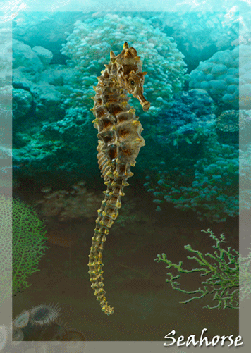 Mar GIF - Find on GIFER