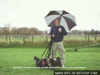 Fer GIF - Find on GIFER