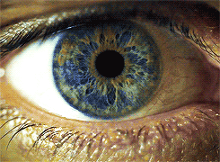 GIF hannibal injection eyes - animated GIF on GIFER