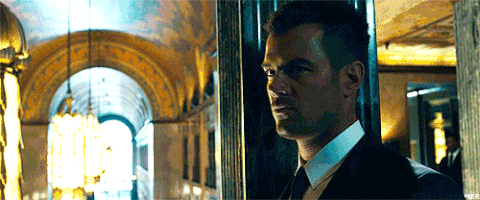 GIF silver fox - animated GIF on GIFER