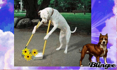 Hay GIF - Find on GIFER