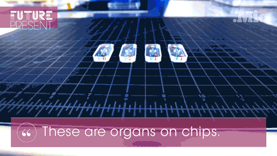 Animals video science GIF - Find on GIFER