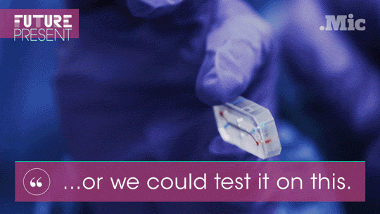 Animals video science GIF - Find on GIFER