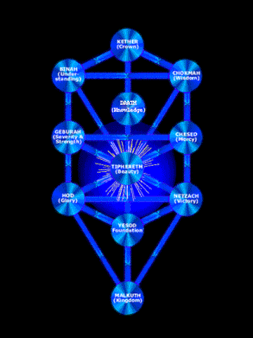 The tree of life GIF - Find on GIFER