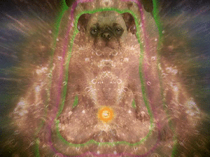 Memory GIF - Find on GIFER