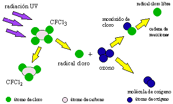 GIF cfc - animated GIF on GIFER