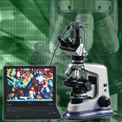 Microscope GIF - Find on GIFER