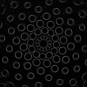 GIF mograph spirograph noise - animated GIF on GIFER