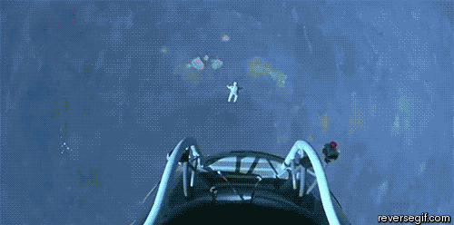 Pandawhale freefall sitepandawhalecom GIF - Find on GIFER