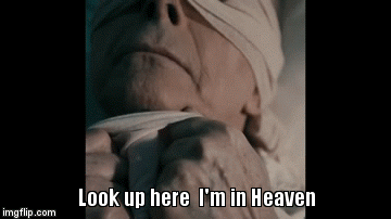 Dank GIF - Find on GIFER