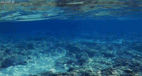 Sea GIF - Find on GIFER
