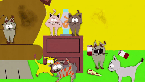 Funny angry mad GIF - Find on GIFER