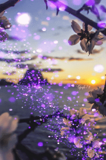 GIF abdc chachi dance - animated GIF on GIFER