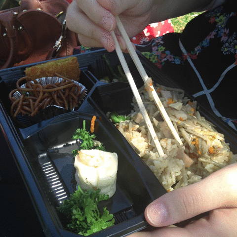 Bento GIF - Find on GIFER