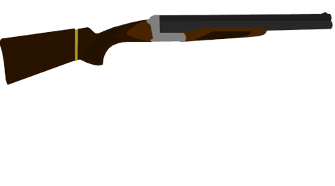 Shotgun GIF - Find on GIFER