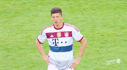 GIF lewandowski robert lewandowski fc bayern munich - animated GIF on GIFER
