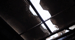 Penn Badgley Easy A Gif