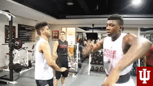 Iu indiana hoosiers GIF - Find on GIFER