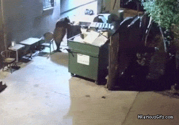 Mrw golden lines GIF - Find on GIFER