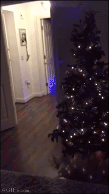 GIF santa scooter hoverboard - animated GIF on GIFER