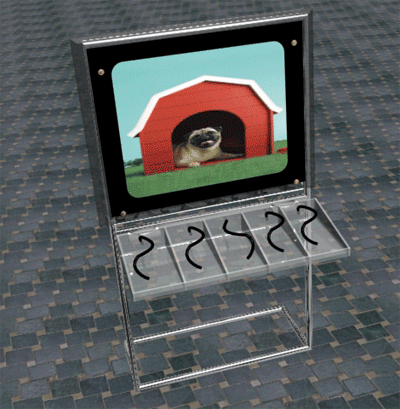 GIF display - animated GIF on GIFER