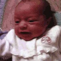 GIF terrified - animated GIF on GIFER