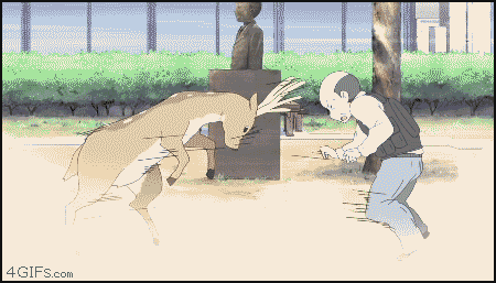 Omaha humane society GIF - Find on GIFER