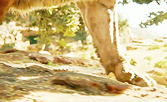 GIF ice - animated GIF on GIFER