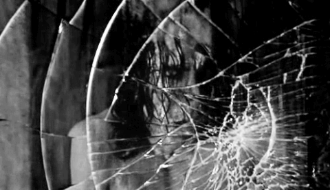 The crow GIF - Find on GIFER