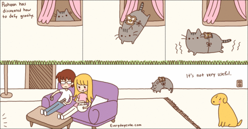 GIF pusheen - animated GIF on GIFER