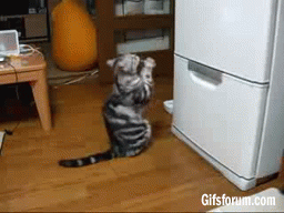 GIF please machine moar - animated GIF on GIFER - by Fedar