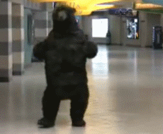 GIF asoiaf - animated GIF on GIFER