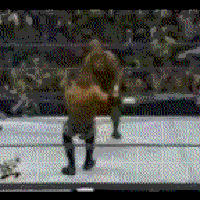 Wwf GIF - Find on GIFER