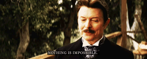 GIF perfect david s reactions - animated GIF on GIFER