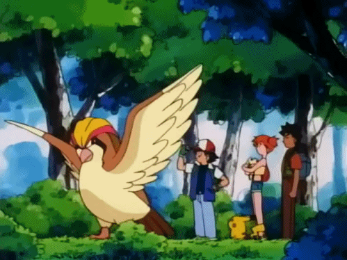 Pidgeot anime pokemon GIF - Find on GIFER
