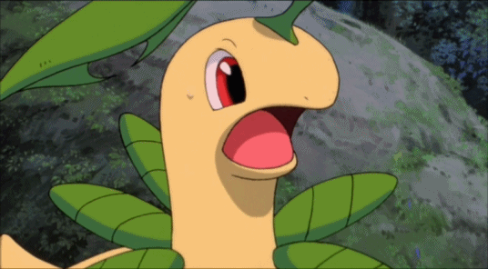 Bayleef anime pokemon GIF - Find on GIFER