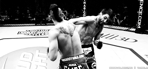 Video fight night GIF - Find on GIFER