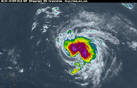 Tropical GIF - Find on GIFER