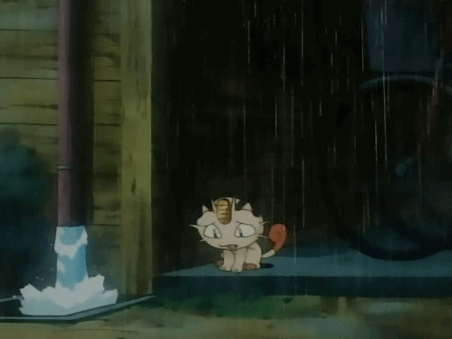 Meowth anime pokemon GIF - Find on GIFER